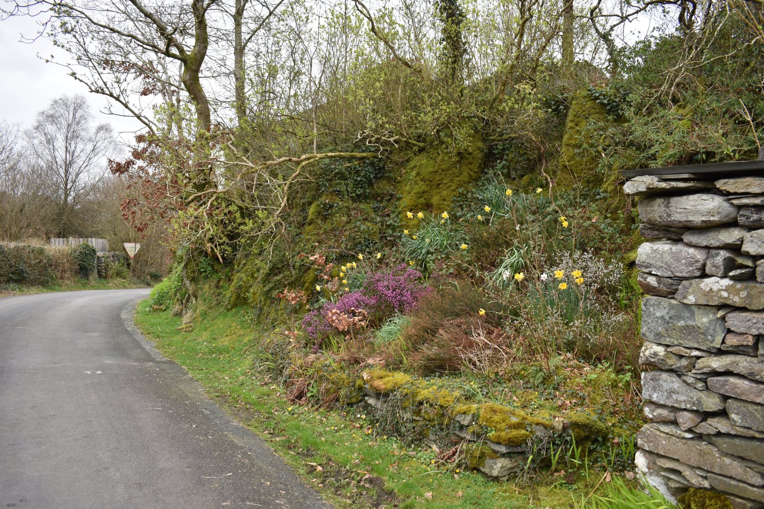 Solve Roadside Spring flowers. jigsaw puzzle online with 12 pieces