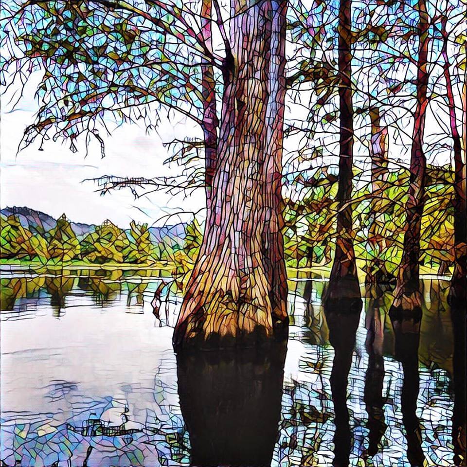 Solve nature 12 jigsaw puzzle online with 256 pieces