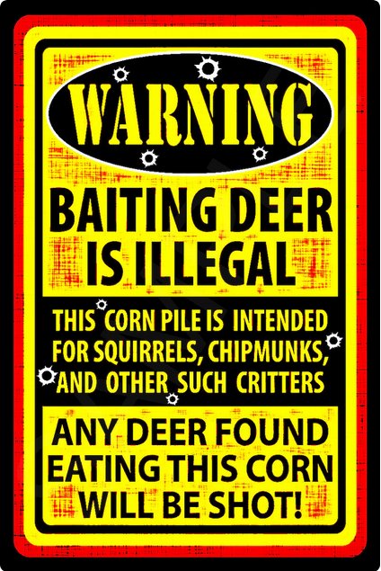 Solve Fair Warning jigsaw puzzle online with 24 pieces