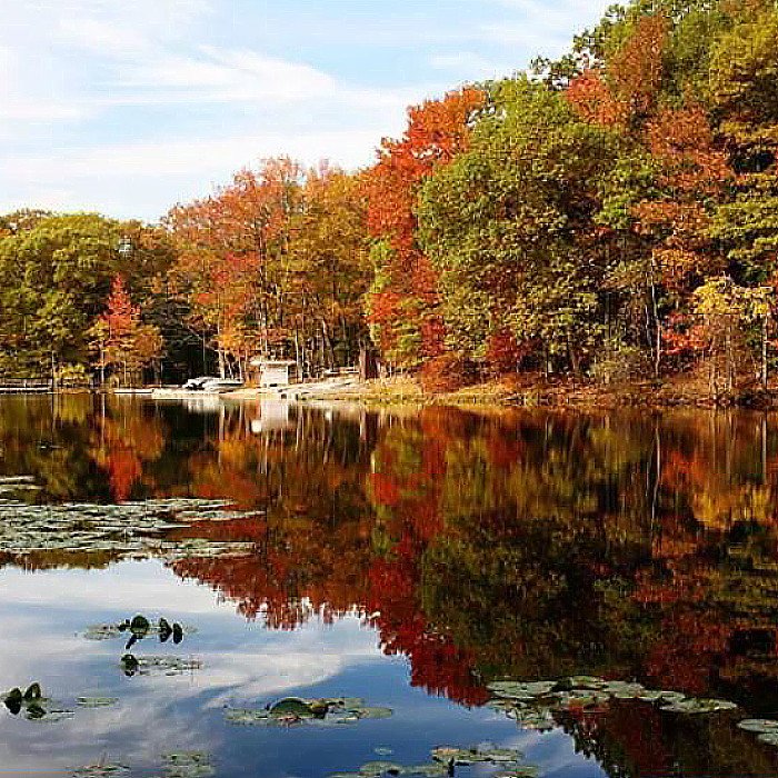 Solve Statan Island Greenbelt, NY jigsaw puzzle online with 81 pieces