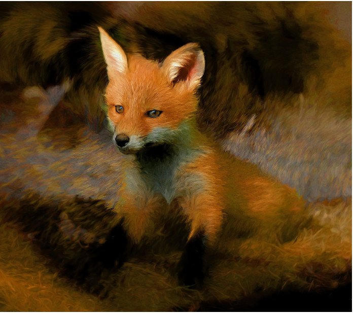 Solve Red Fox Kit jigsaw puzzle online with 20 pieces