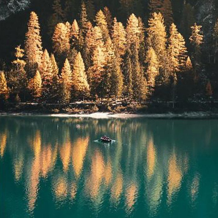 Solve reflections on fall jigsaw puzzle online with 81 pieces