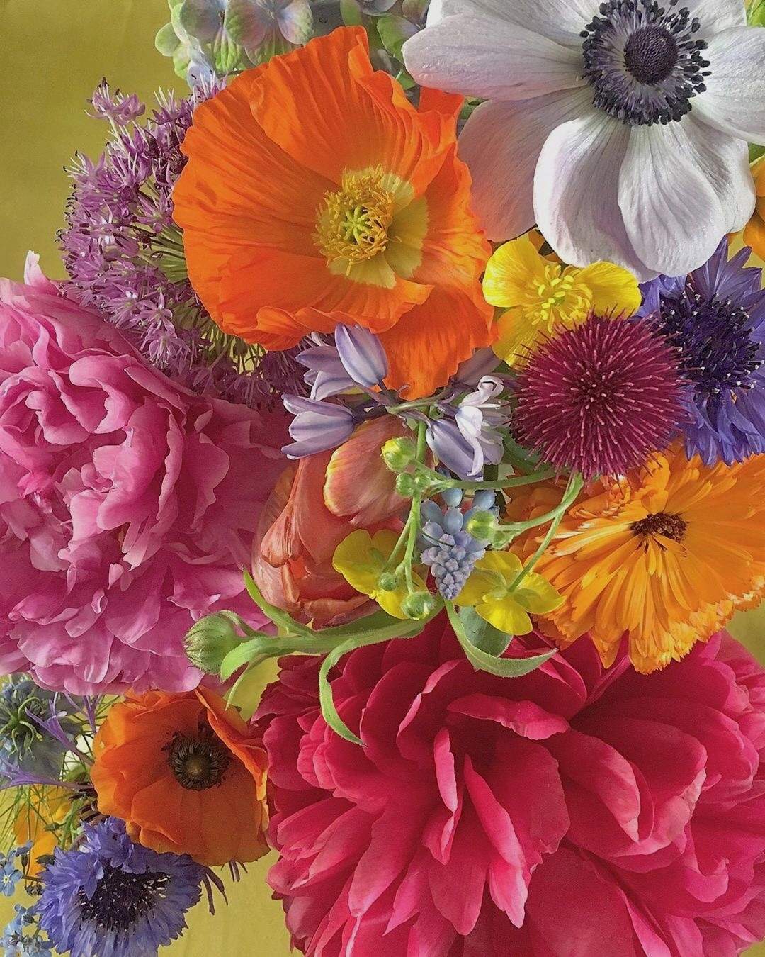 Solve Colorful blossoms jigsaw puzzle online with 130 pieces