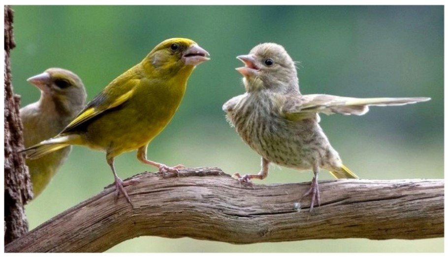 Solve Vtipné foto_Funny photos jigsaw puzzle online with 28 pieces