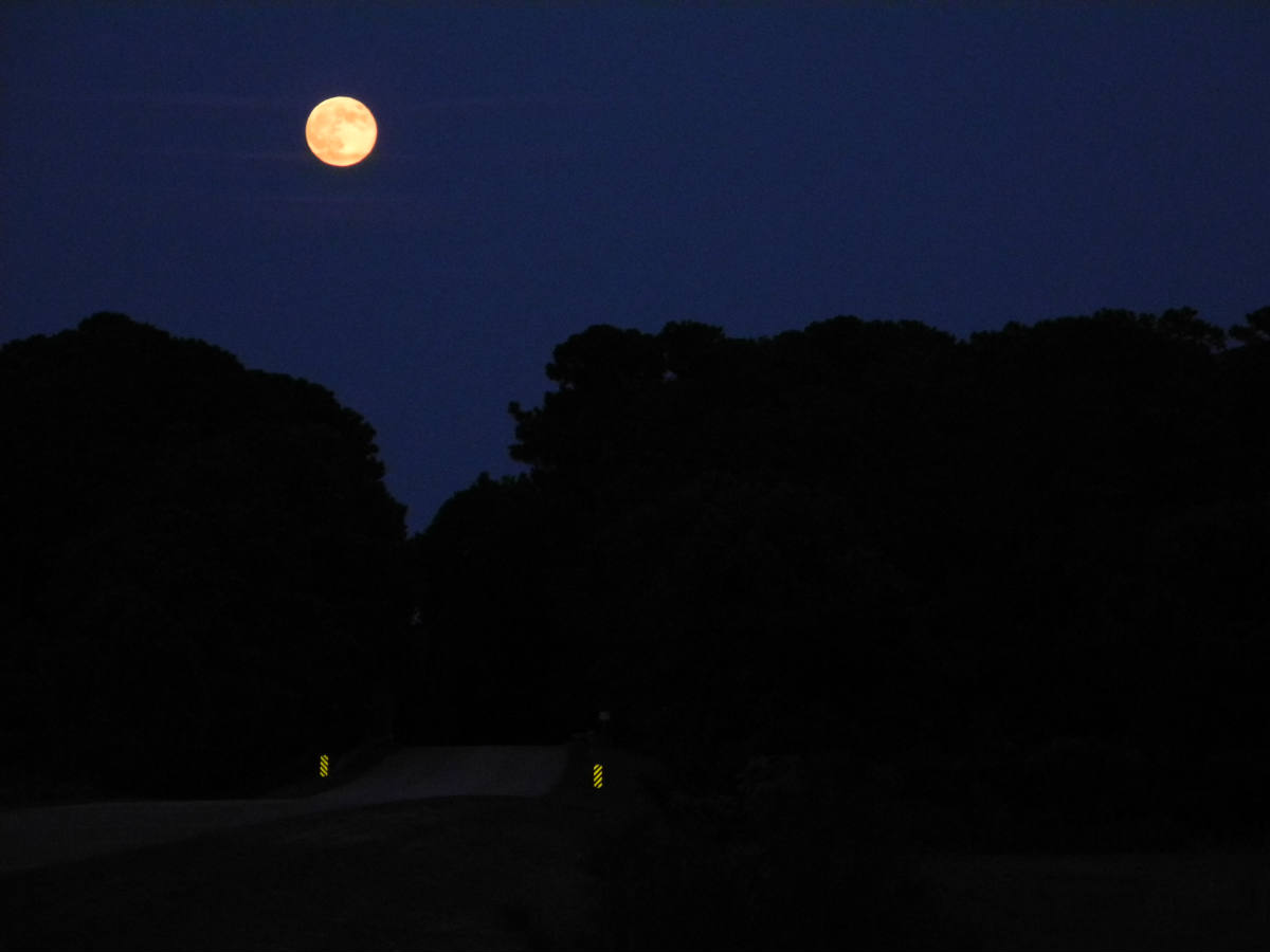 Solve Super Moon over the Parkway in Williamsburg, Virginia jigsaw ...