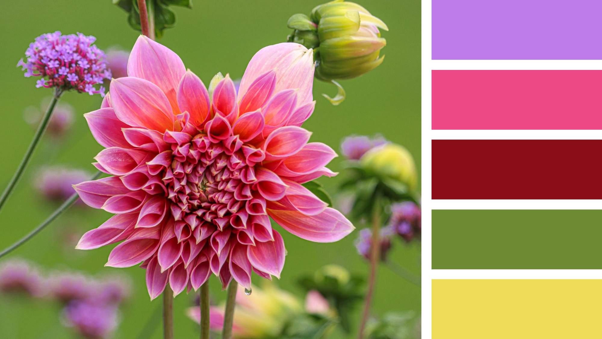 Solve Gorgeous Pink Flower jigsaw puzzle online with 264 pieces