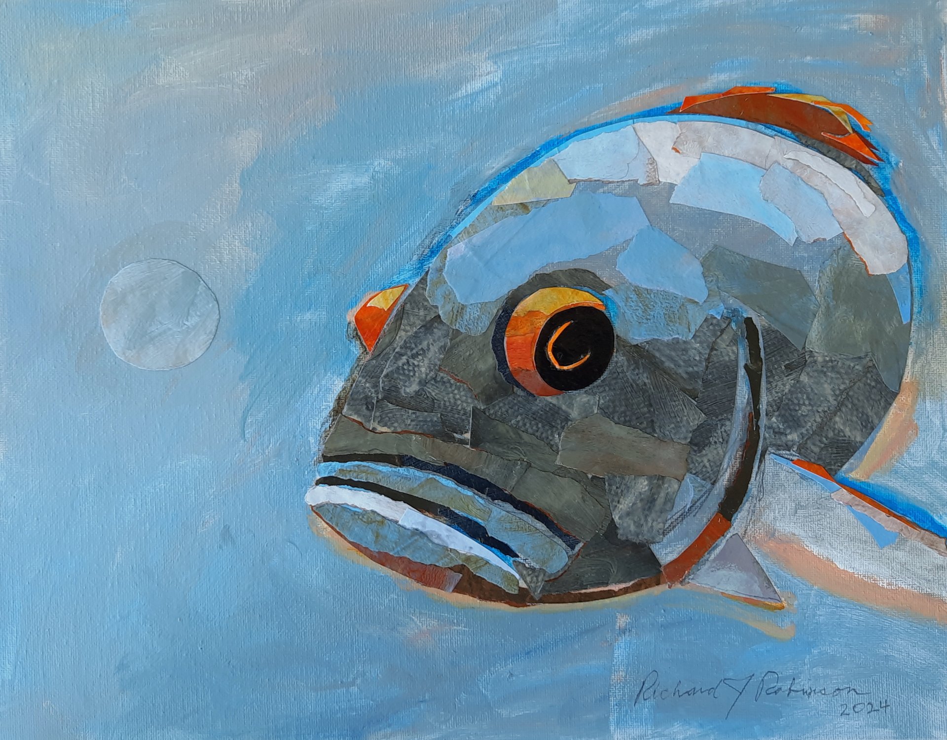 Solve "a fish" jigsaw puzzle online with 154 pieces