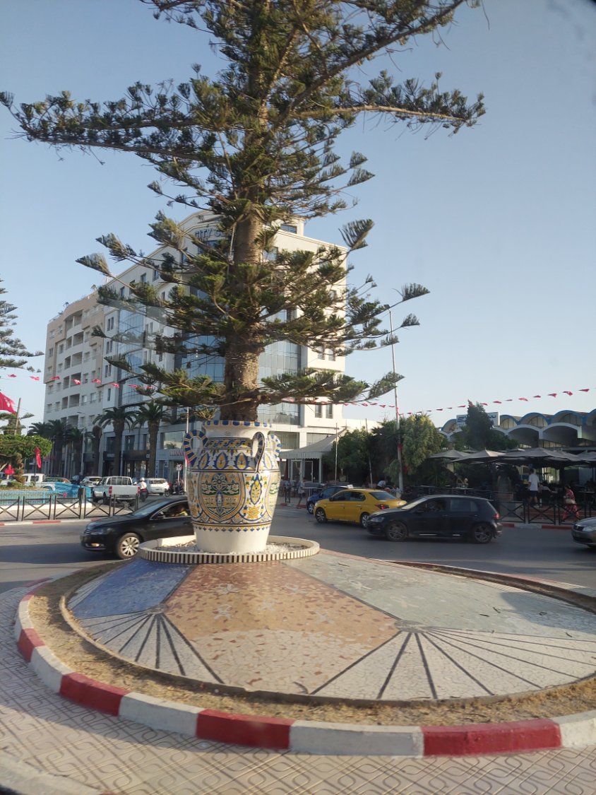 Solve Tree in a pot in the largest city Nabeul on Cap Bon and ceramic capital of Tunisia jigsaw ...