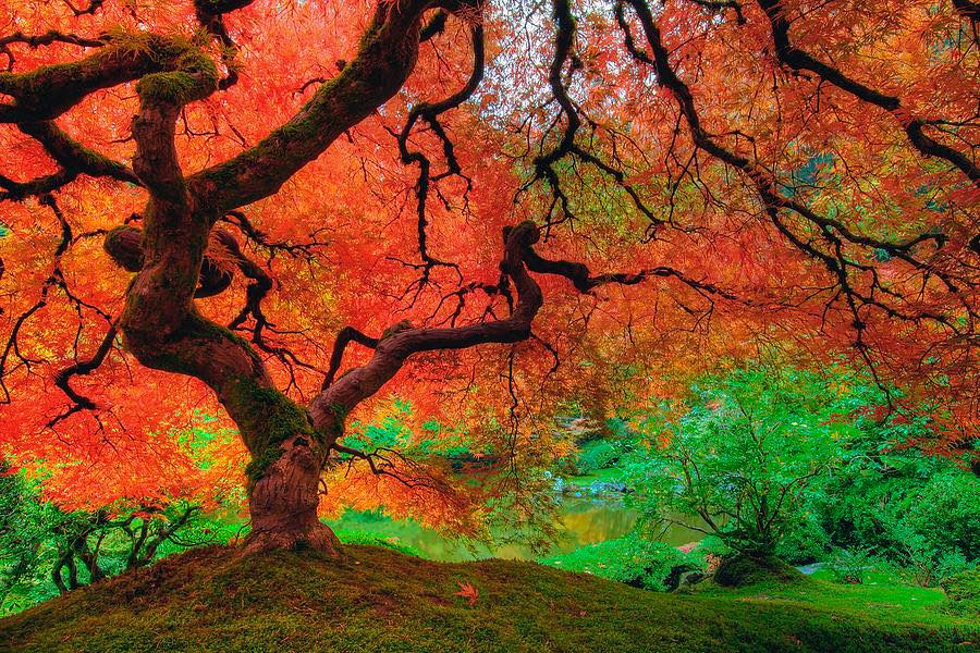 Jigsaw Puzzle | A Tornado of Color | 165 pieces | Jigidi