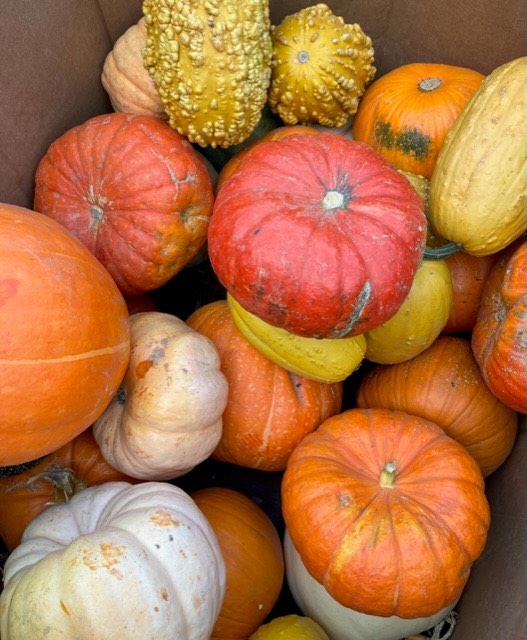 Solve Winter Squash jigsaw puzzle online with 80 pieces