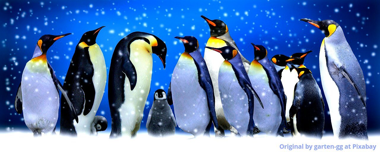 Solve Penguins 🐧 jigsaw puzzle online with 84 pieces