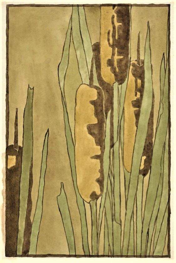 Solve Hannah Overbeck (United States, 1870-1931) - Cattail, circa 1915 ...