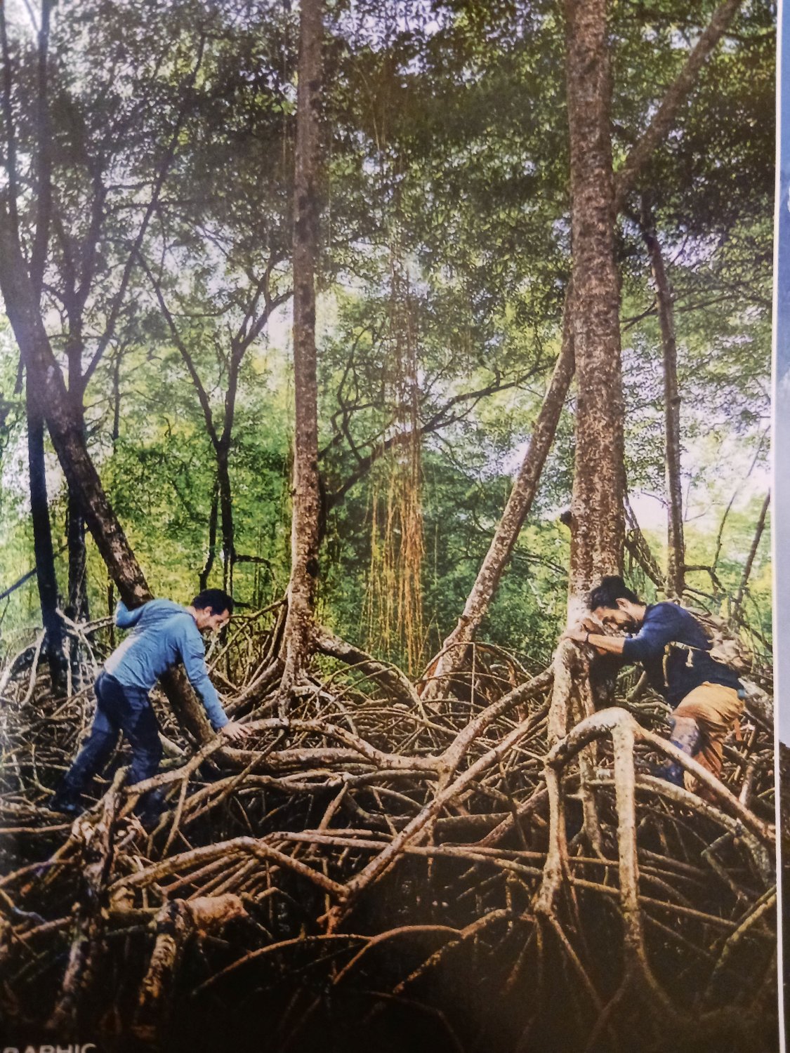 Solve Lost penny jigsaw puzzle online with 63 pieces