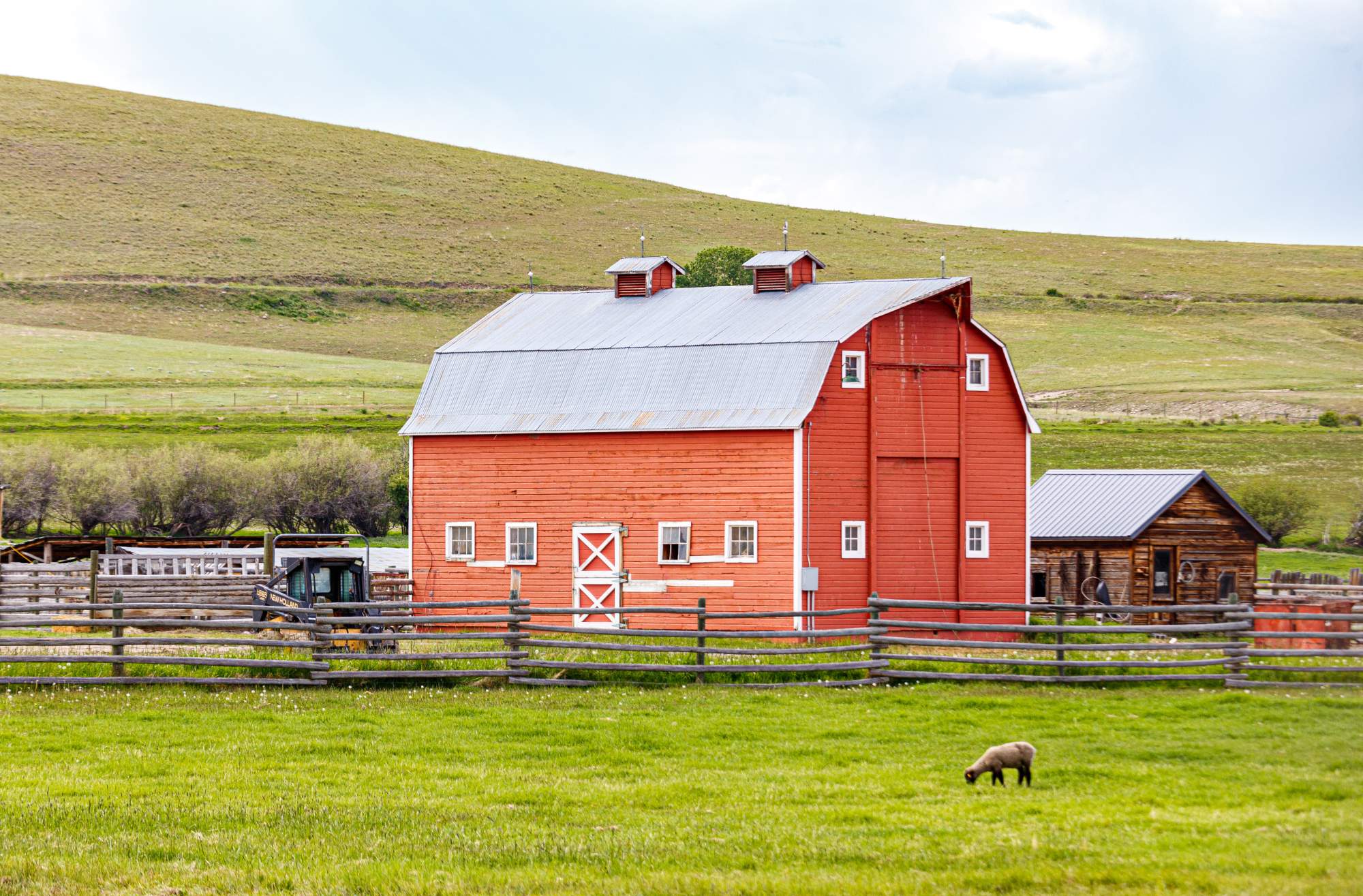 Jigsaw Puzzle | 216 pieces | MONTANA SHEEP RANCH | Jigidi
