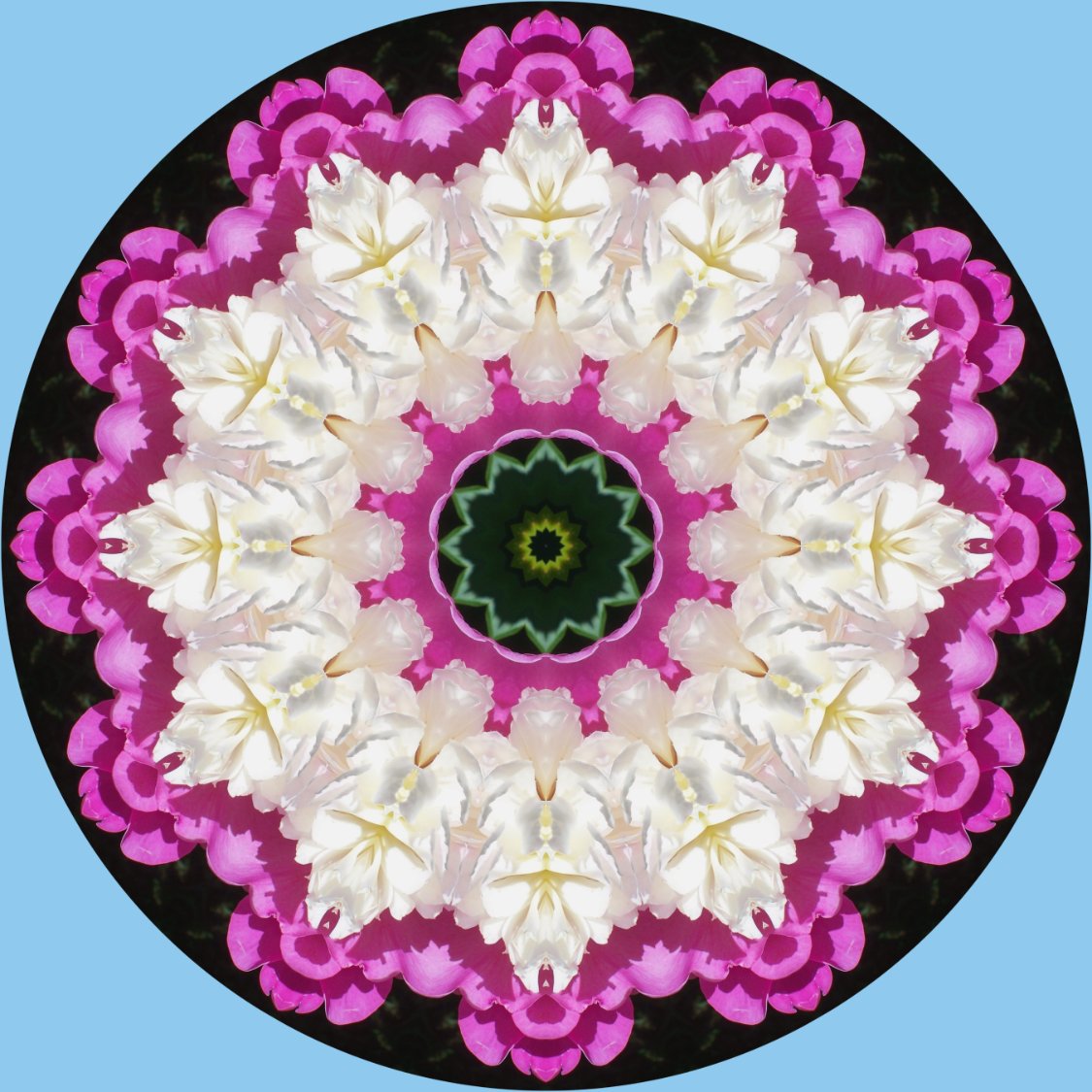 Solve Peony Kaleidoscope jigsaw puzzle online with 25 pieces