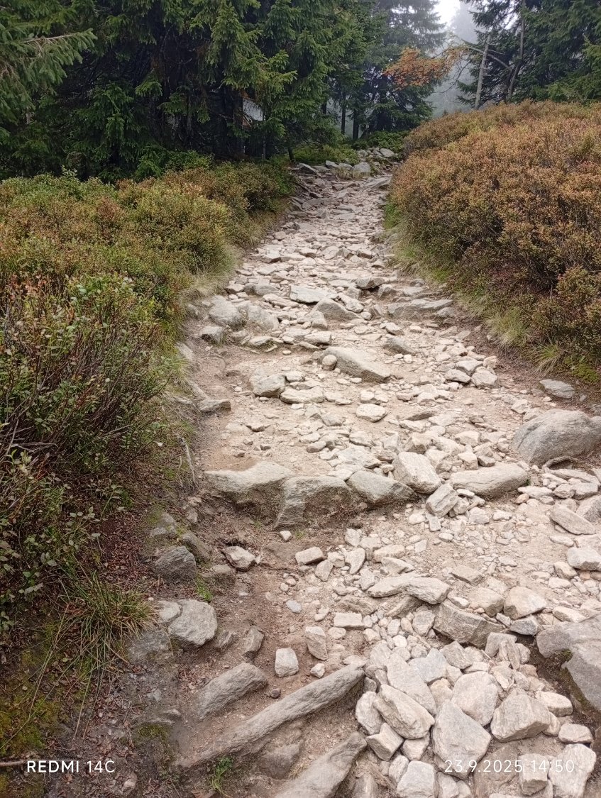 Solve Cesta k cíli je hodně kamenitá,šlo se po cestě těžce jigsaw ...