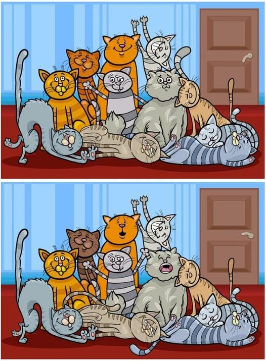 Solve ....10...... jigsaw puzzle online with 20 pieces