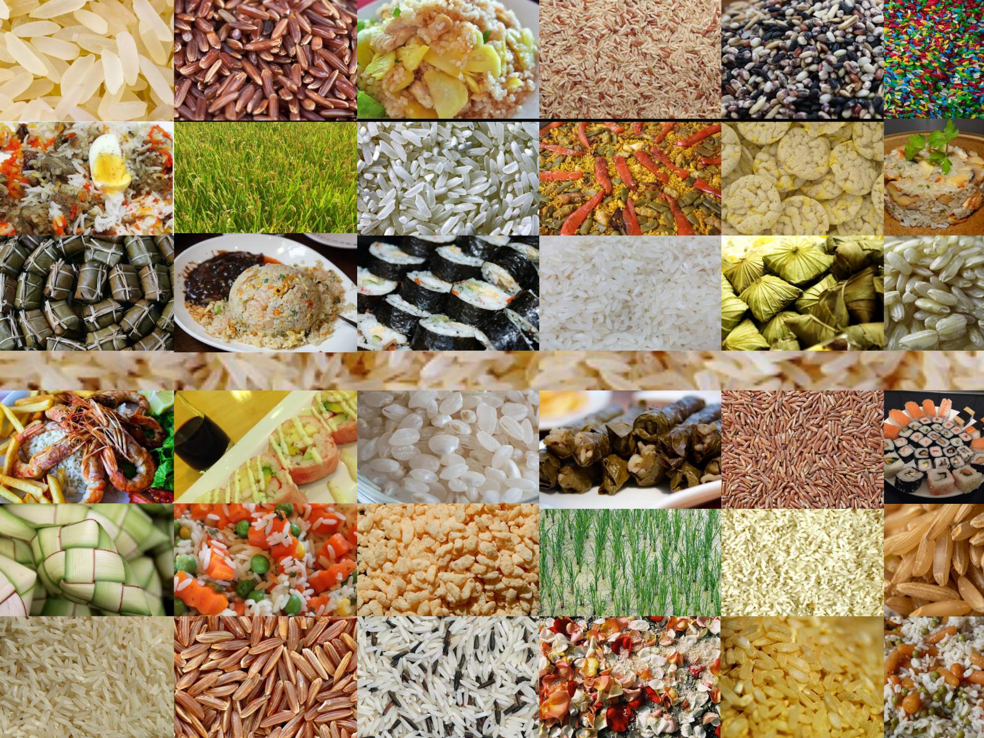 Solve Rice jigsaw puzzle online with 192 pieces