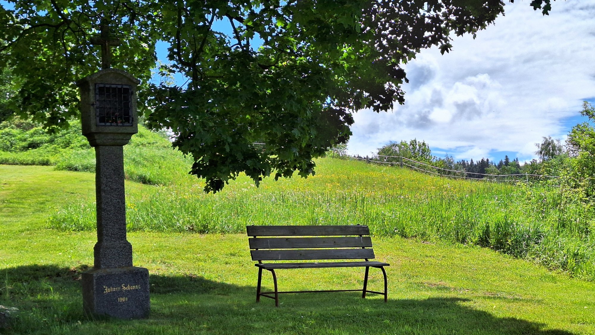 Solve Jaro - Spring jigsaw puzzle online with 60 pieces