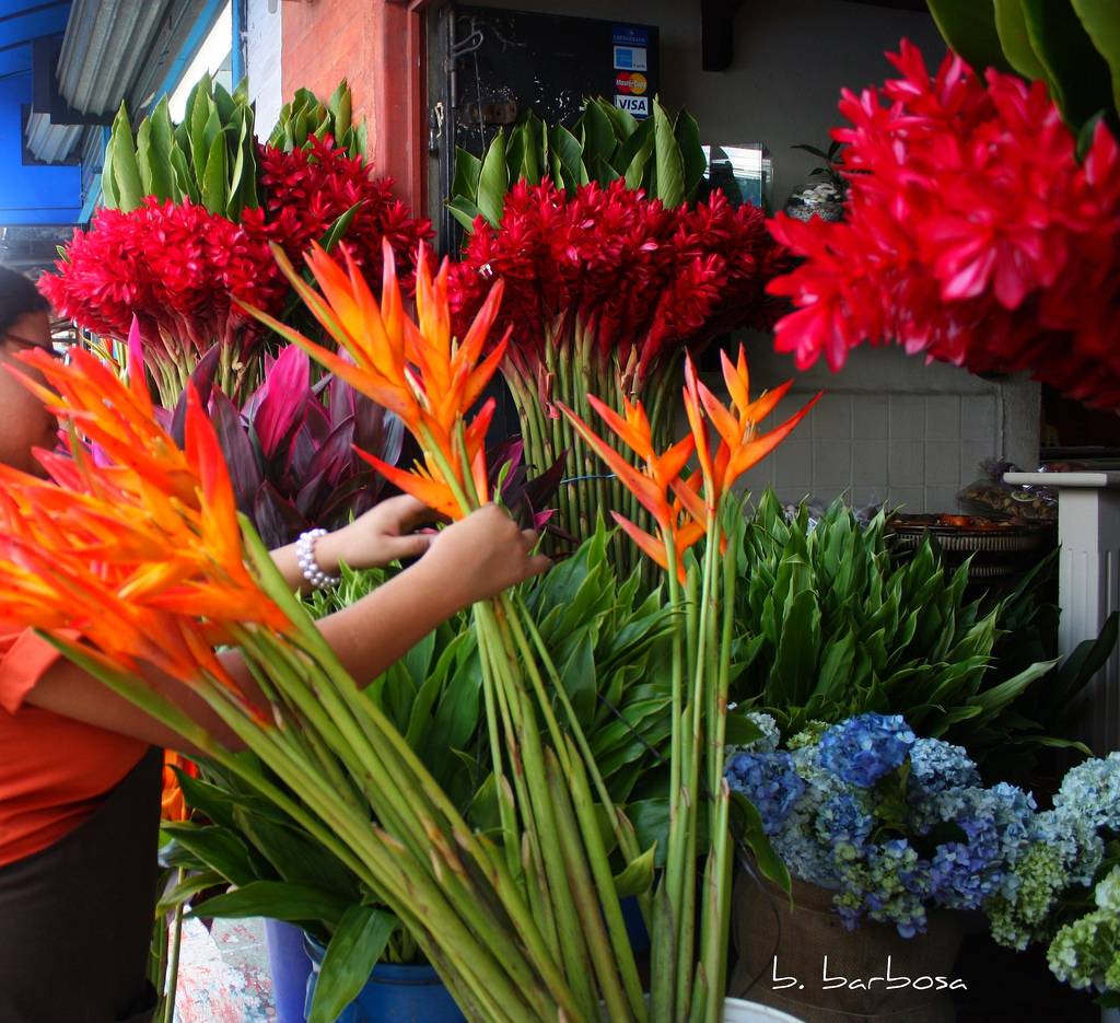 Solve Florist - Costa Rica jigsaw puzzle online with 195 pieces