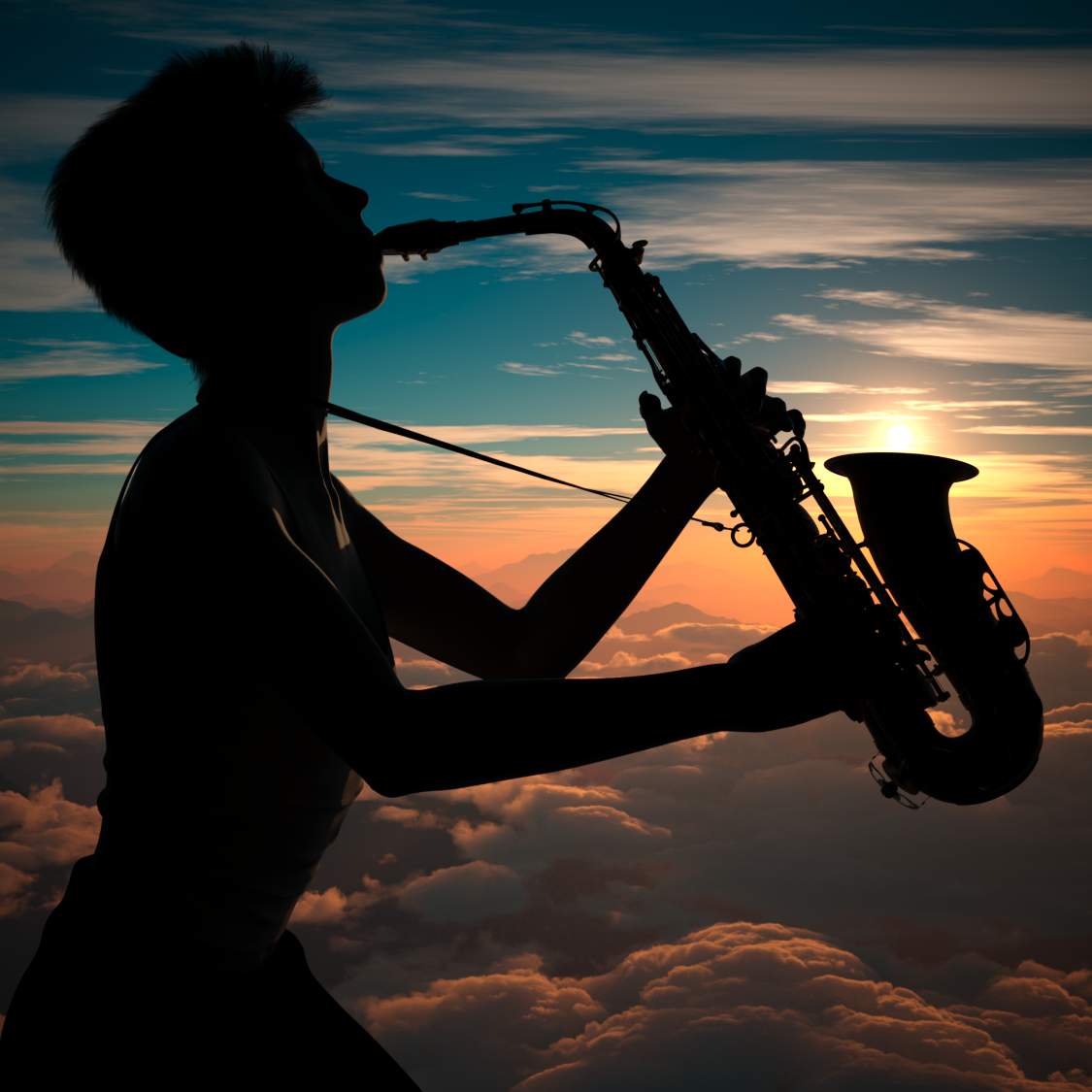 Solve Doodles: Sax at 30,000 feet jigsaw puzzle online with 64 pieces