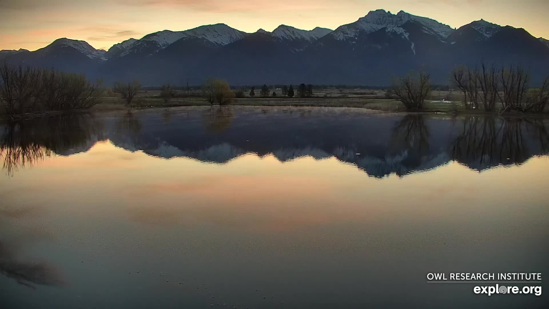 Solve April 19, 2025 Dawn Reflections jigsaw puzzle online with 120 pieces