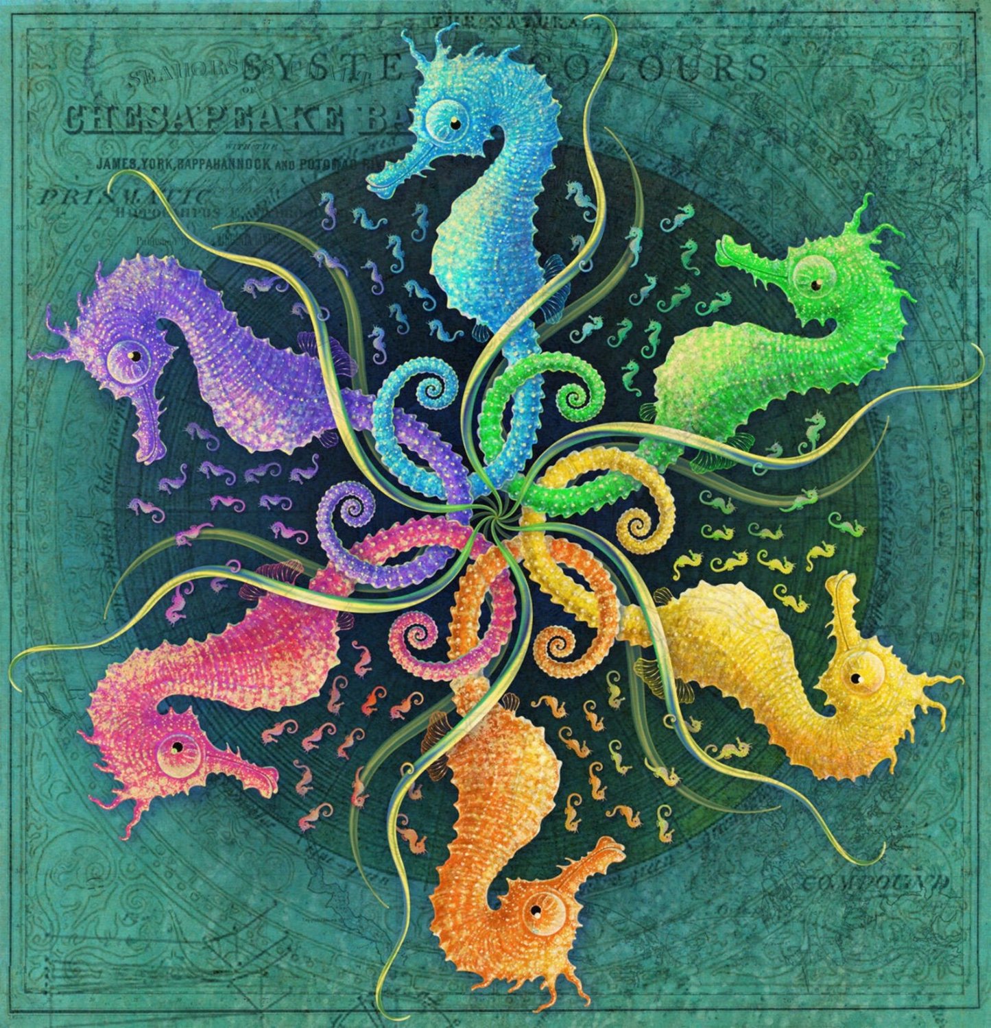 Solve Colourful Seahorses jigsaw puzzle online with 81 pieces