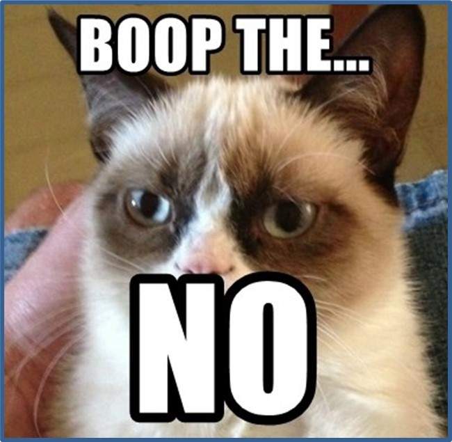 Solve Boop at Your Own Risk! Grumpy Don't Play! jigsaw puzzle online ...