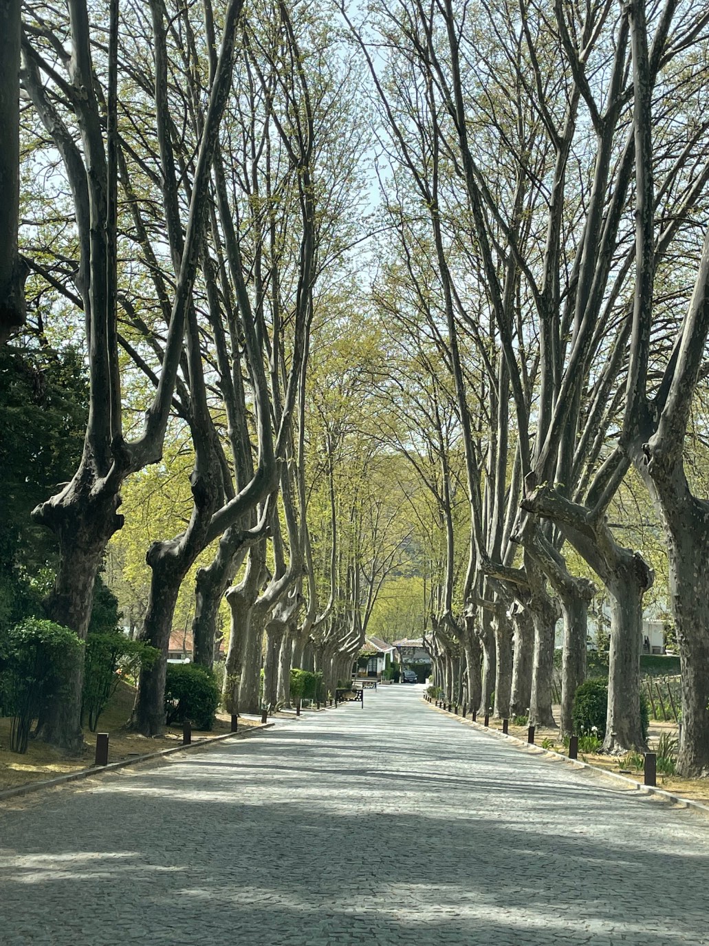 Jigsaw Puzzle | Doura Valley | 99 pieces | Jigidi