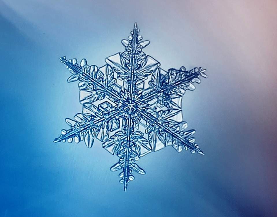 Solve STAR OF WONDER - STELLAR DENDRITE jigsaw puzzle online with 12 pieces