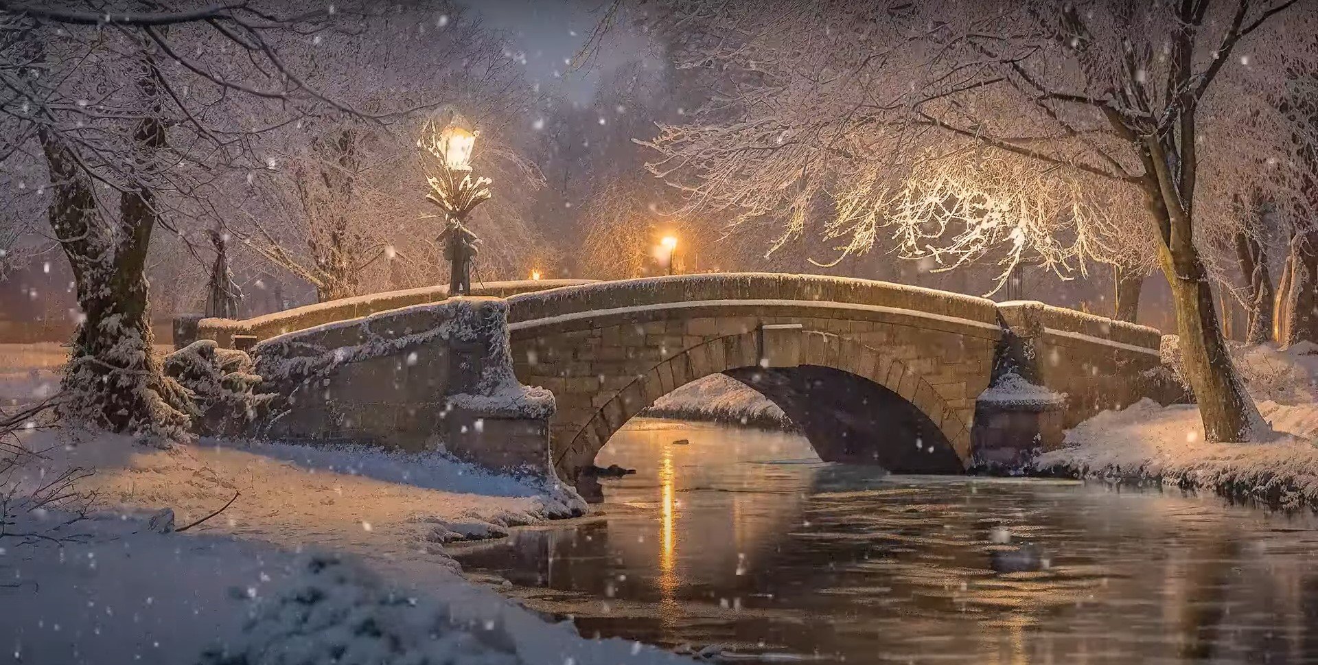 Solve Snowy Night in the park jigsaw puzzle online with 300 pieces