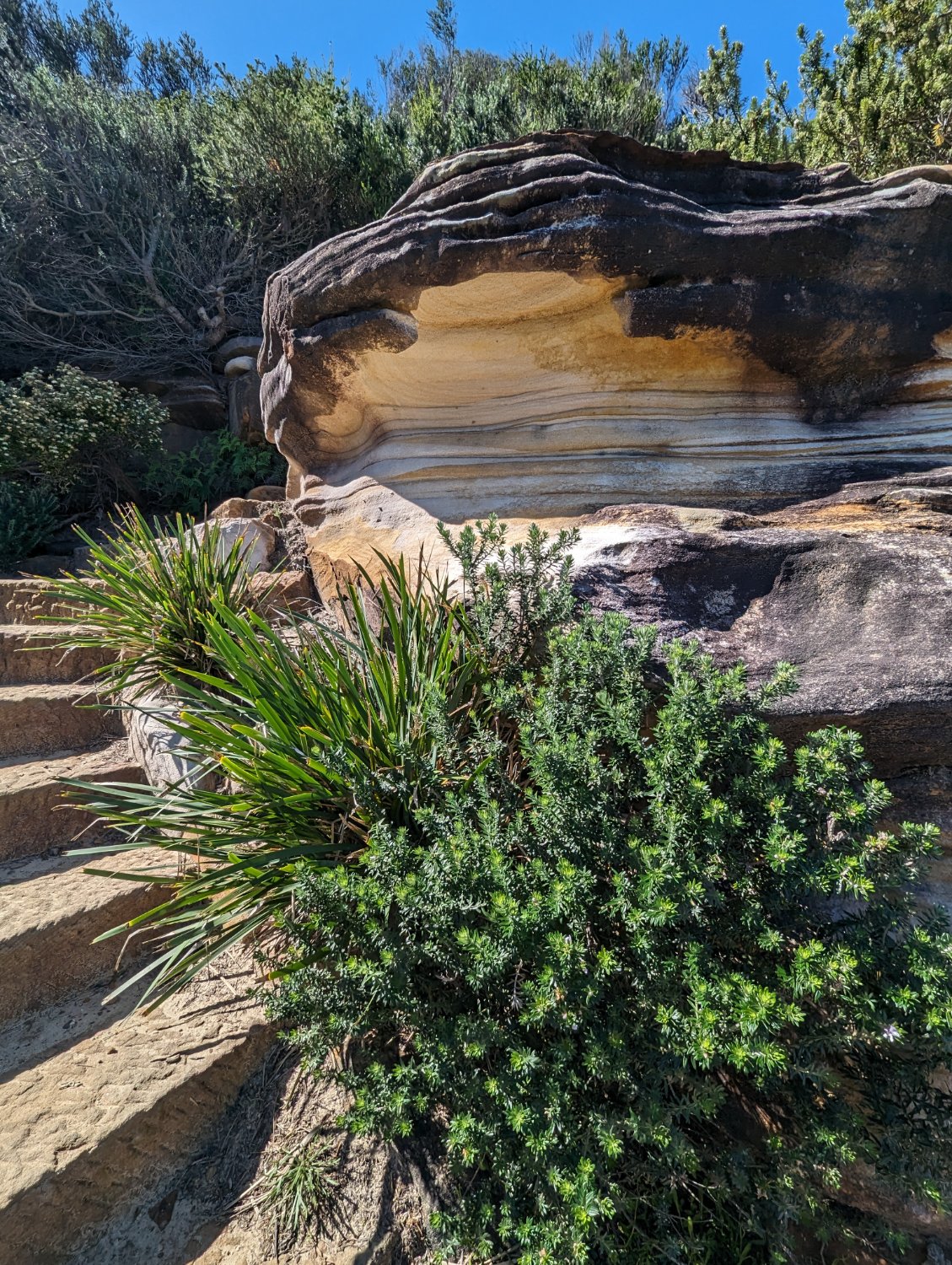 Solve steps jigsaw puzzle online with 336 pieces