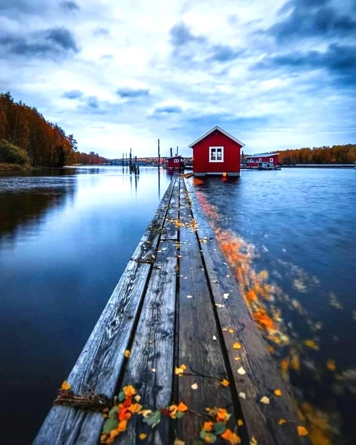 Solve Wet walkway jigsaw puzzle online with 120 pieces