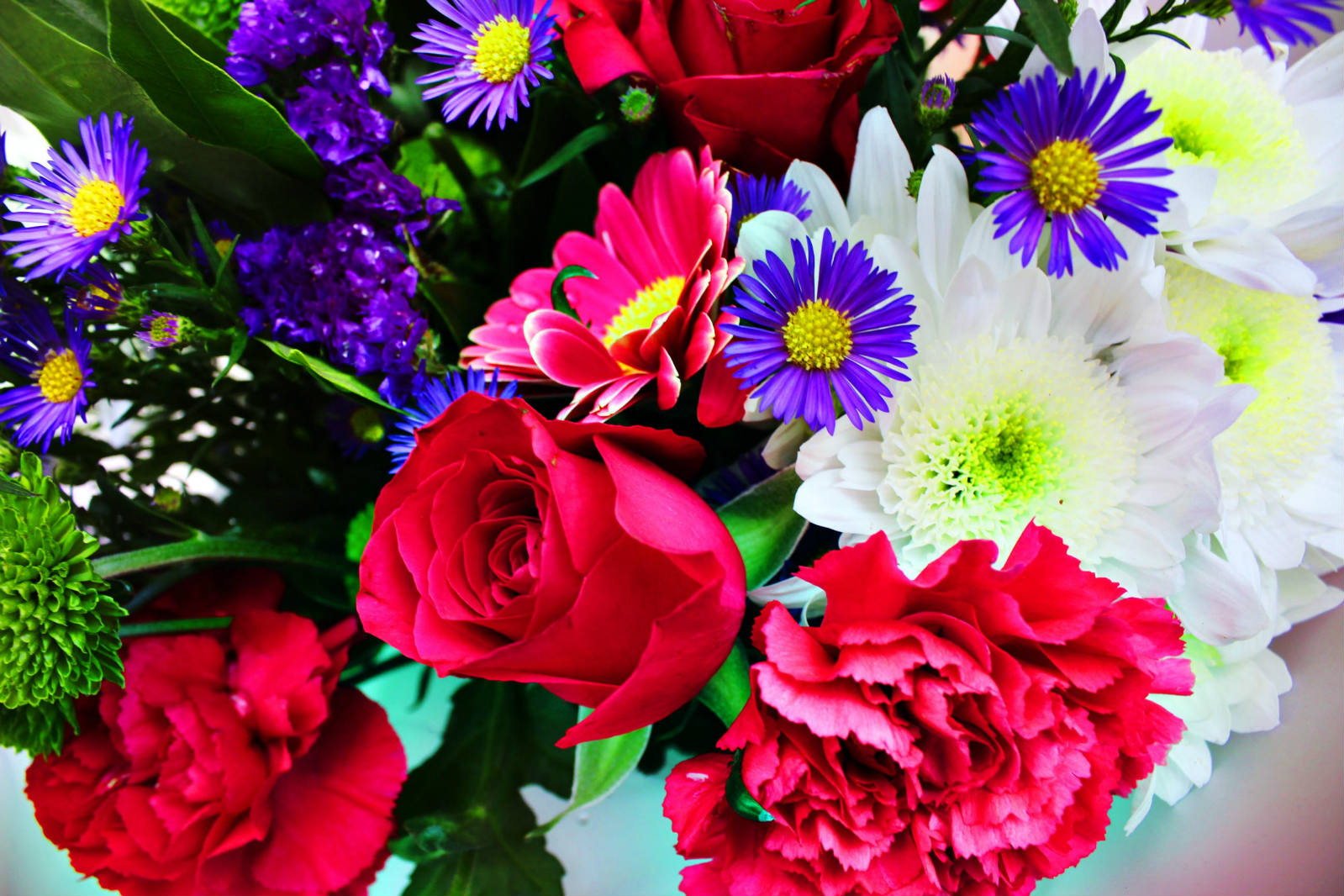 Solve Flower power jigsaw puzzle online with 330 pieces