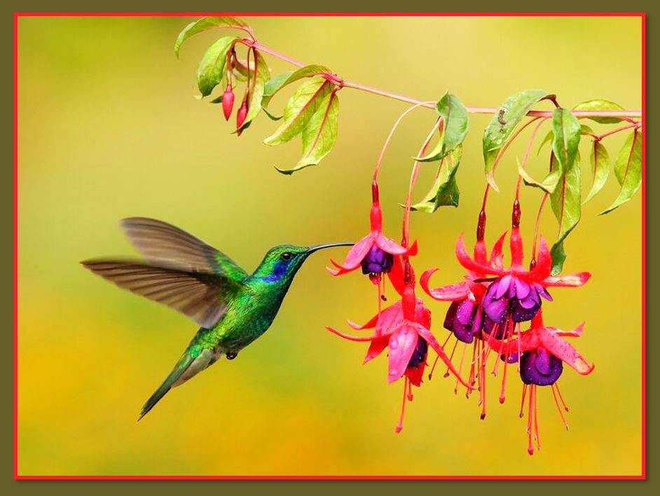 Solve humming along jigsaw puzzle online with 88 pieces