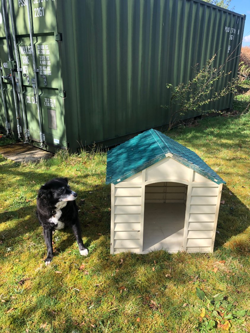 Solve Looking for a Tenant? jigsaw puzzle online with 12 pieces