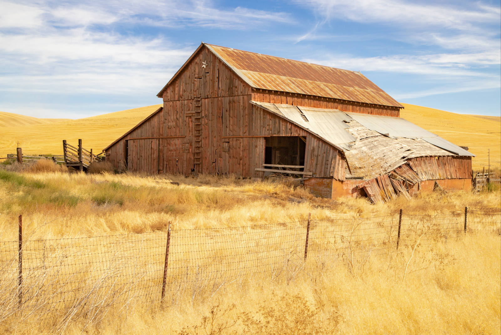 Solve BARN WITH A BOO-BOO jigsaw puzzle online with 187 pieces