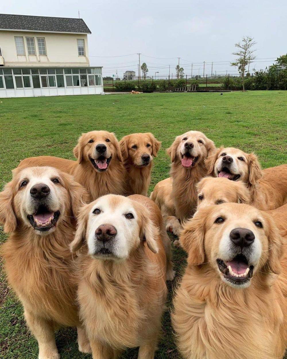 Solve Labs jigsaw puzzle online with 80 pieces