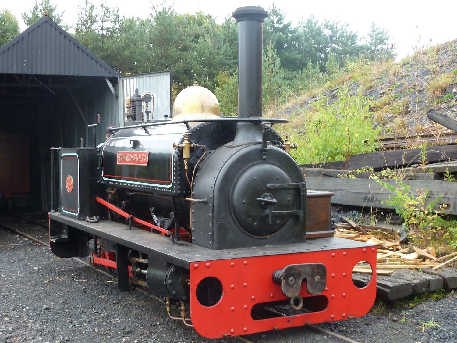 Solve Edward Sholto jigsaw puzzle online with 108 pieces