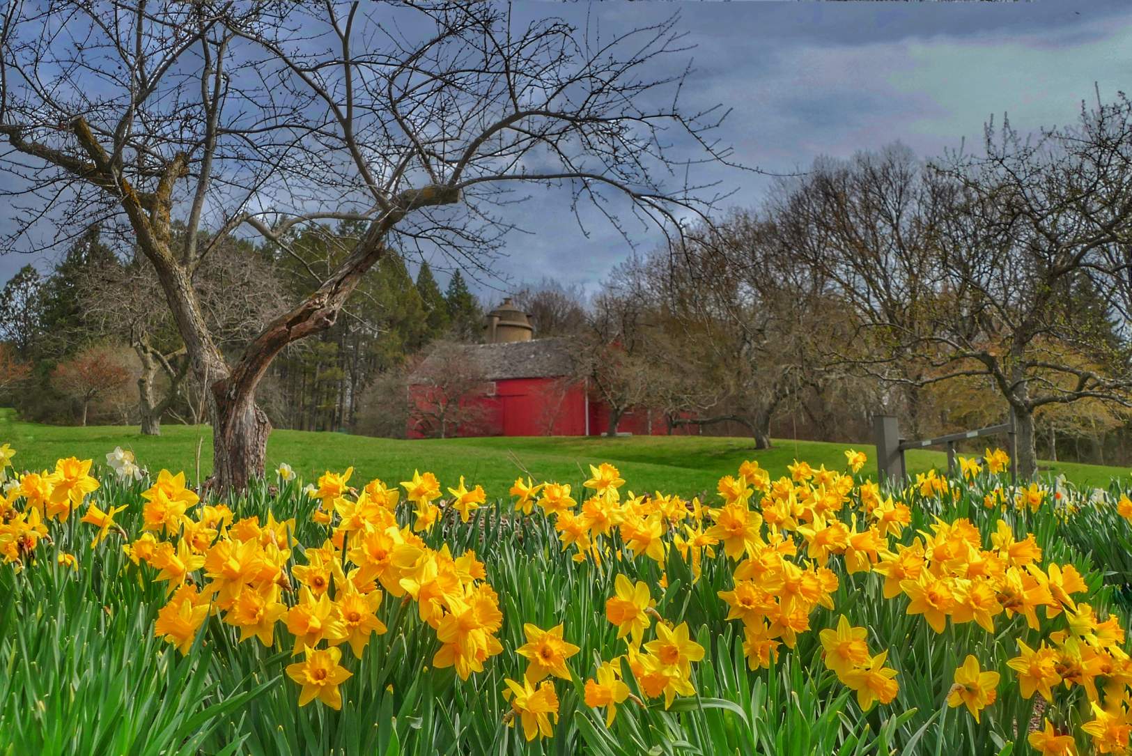 Solve springtime jigsaw puzzle online with 117 pieces