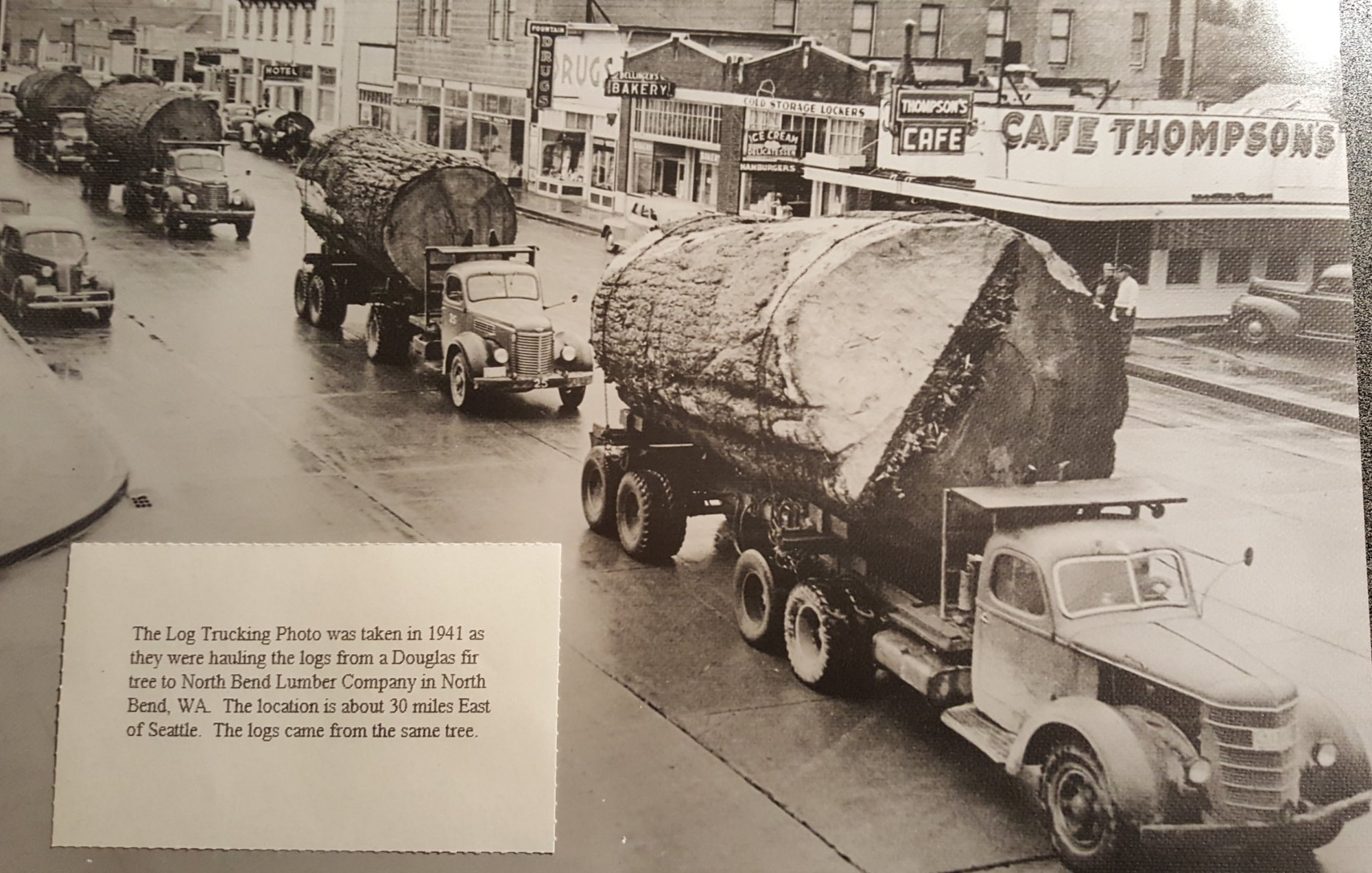 Solve Trucking huge Douglas Fir logs—all one tree jigsaw puzzle online ...