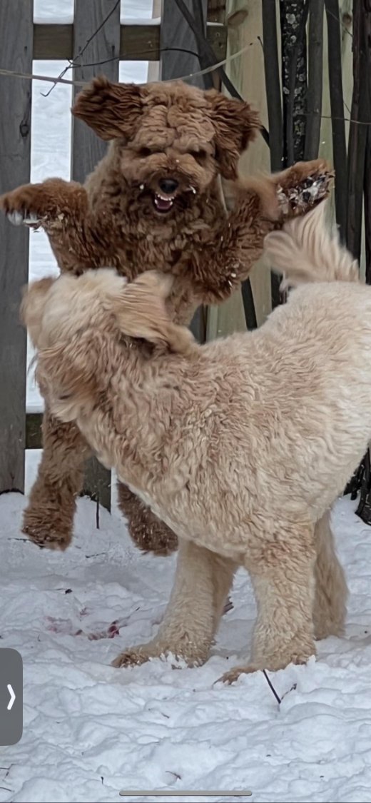 Solve She's actually pretty nice once you get to know her. jigsaw ...