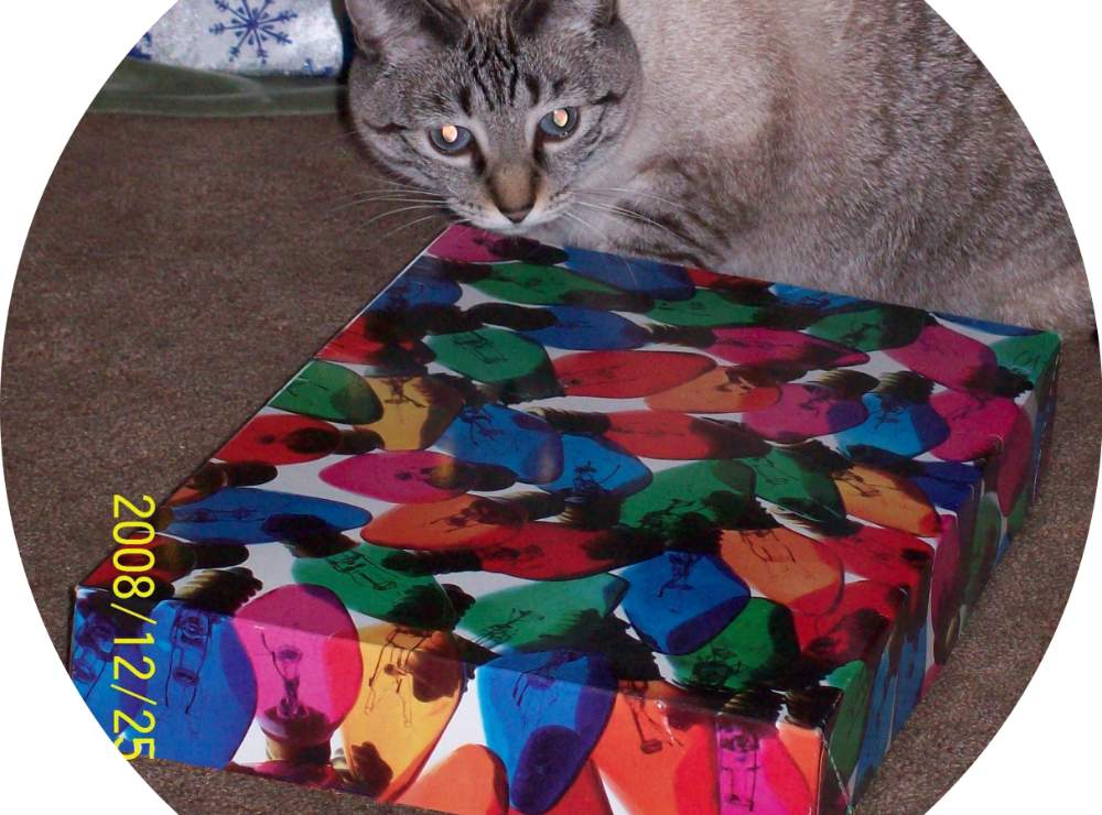 Solve Quality Control Check by Chloe jigsaw puzzle online with 12 pieces