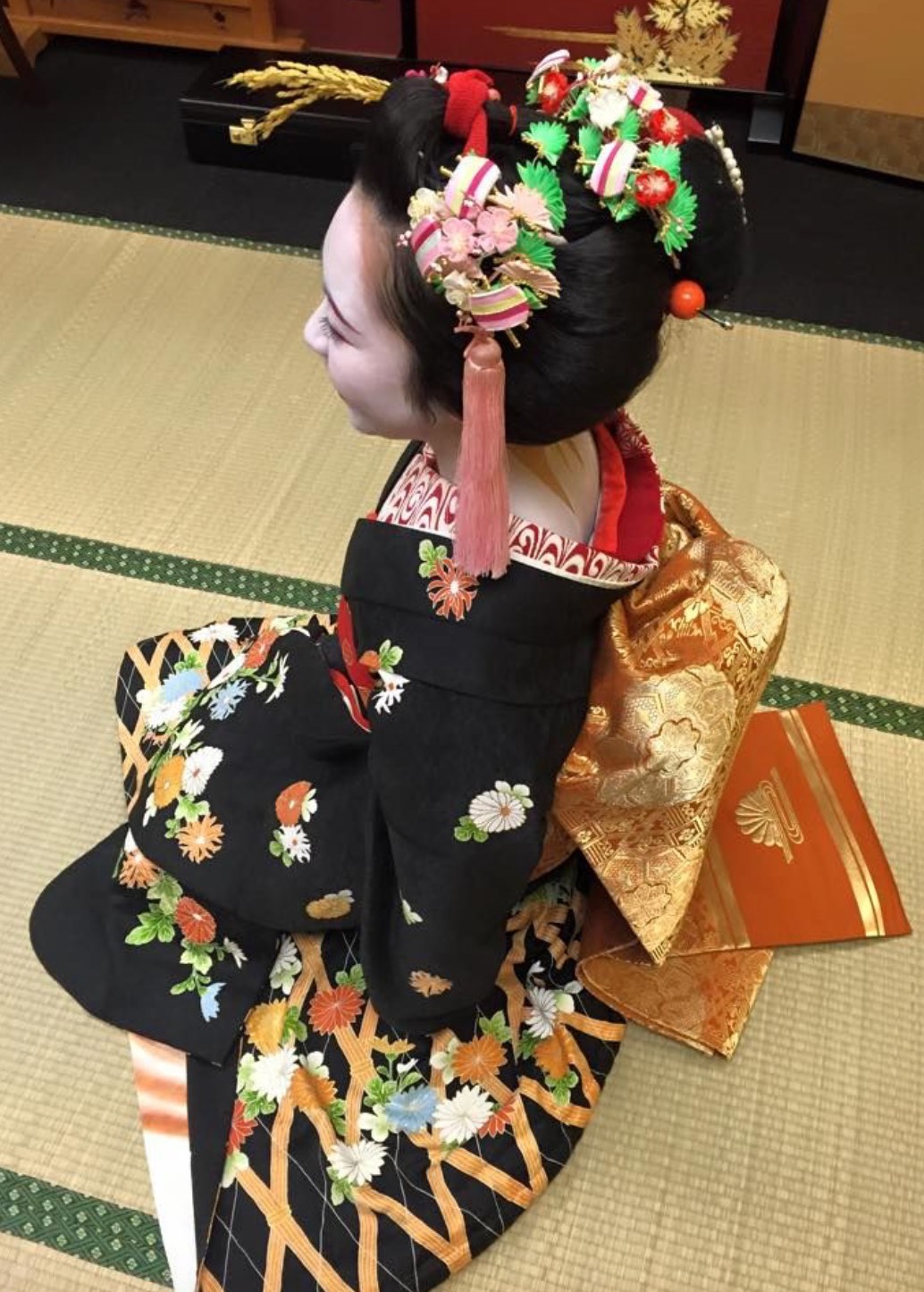 Jigsaw Puzzle | 204 pieces | Maiko at Shigyoshiki | Jigidi