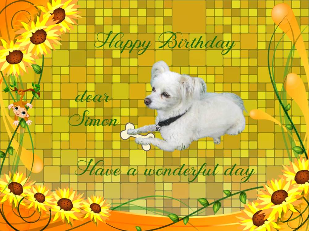Solve Happy Birthday dear Simon (Tekchal's dog) jigsaw puzzle online ...