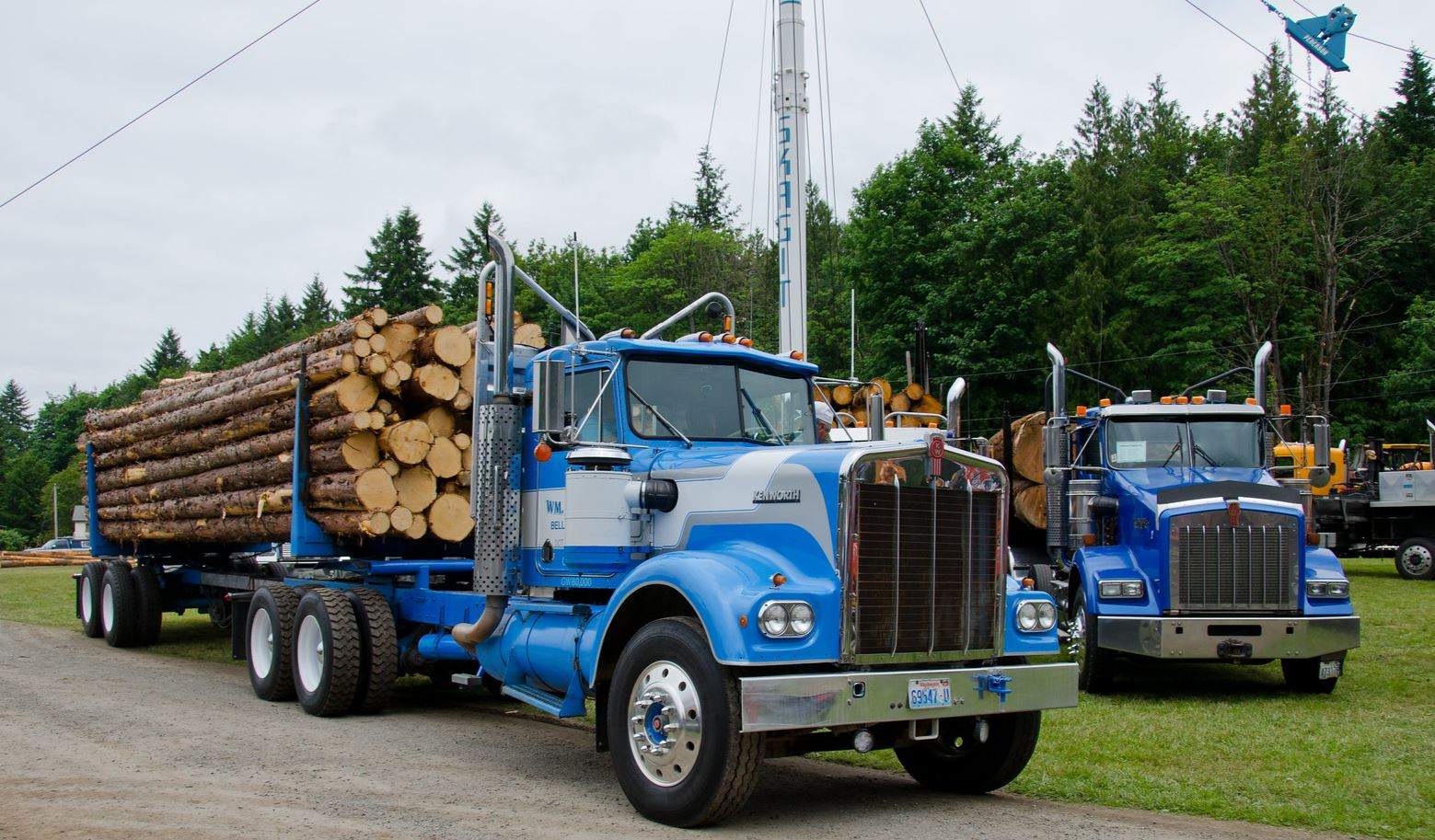 Solve KW W900 Logger_01 jigsaw puzzle online with 252 pieces