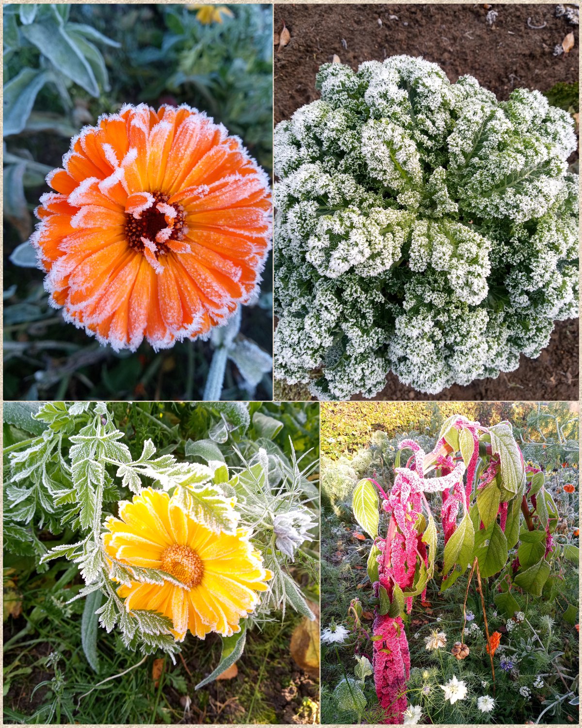 Solve Der erste Frost jigsaw puzzle online with 80 pieces