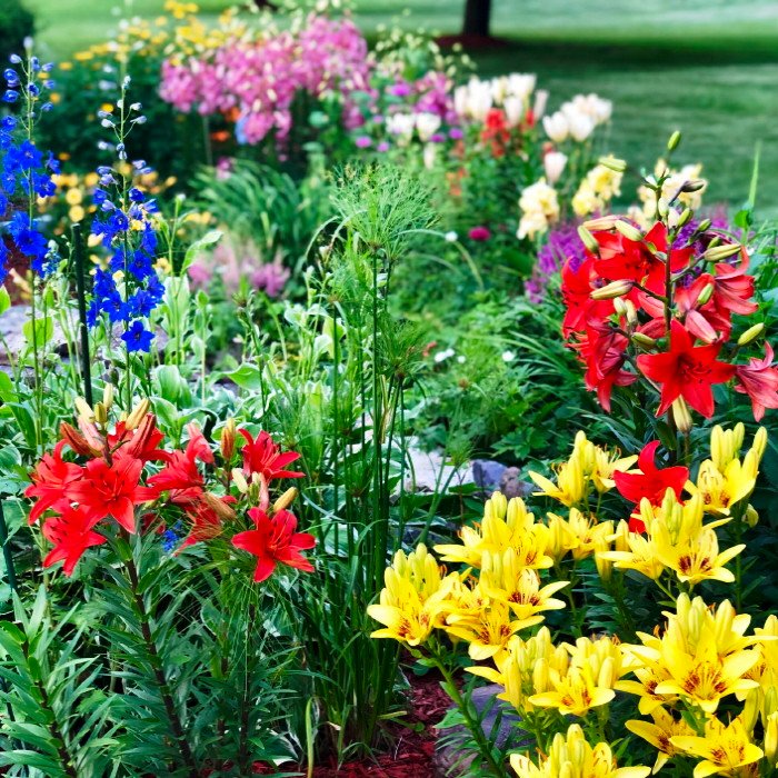 Solve Plain, WI. Hwy 23 north of Spring Green, not from this year ...