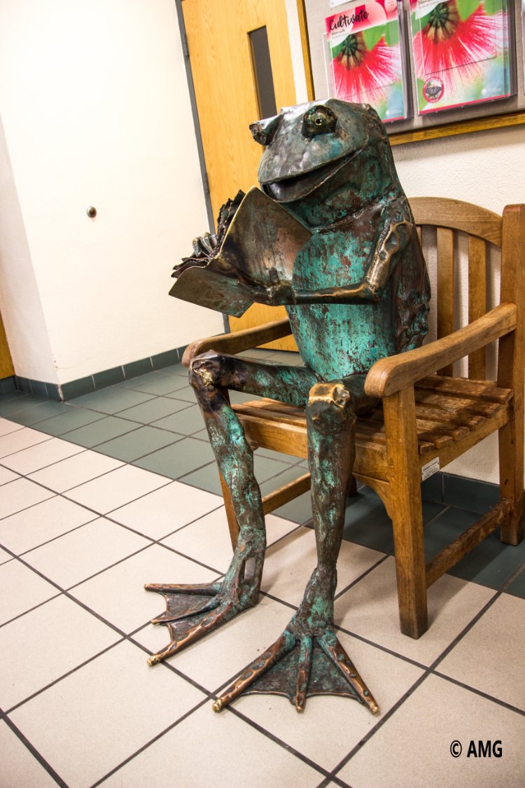 Solve Yep, I'm A Frog jigsaw puzzle online with 12 pieces