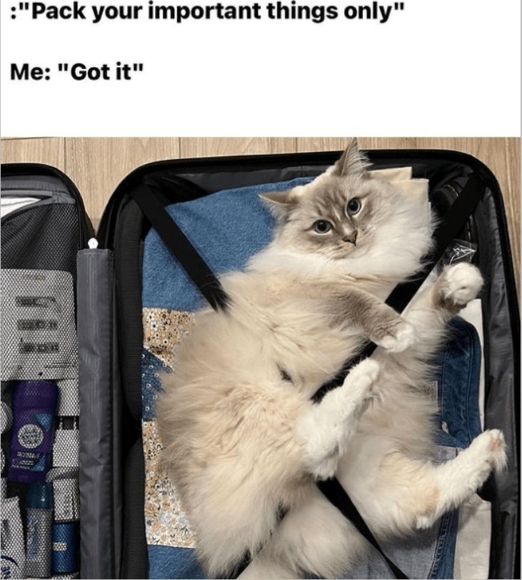 Solve You're NOT Leaving Again!! Not Without Me!!! jigsaw puzzle online ...